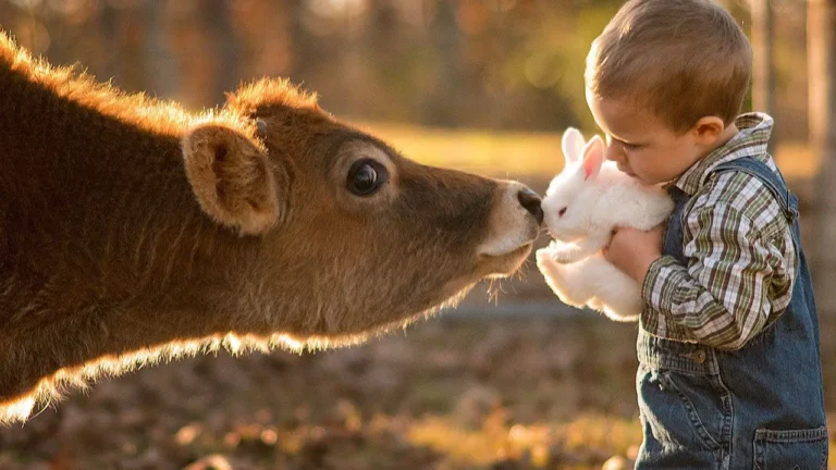 God is Love Pictures: A Visual Testament of Divine Affection